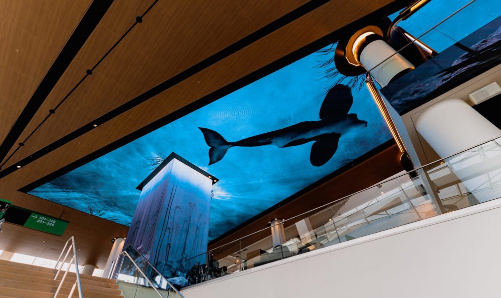 Creating an Unprecedented Live Event Experience that Produces Results