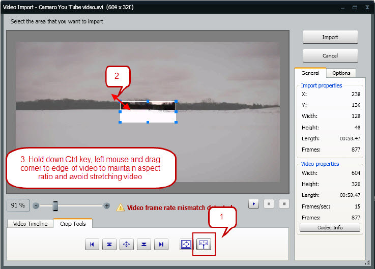 Importing a Video/Animation as a Still