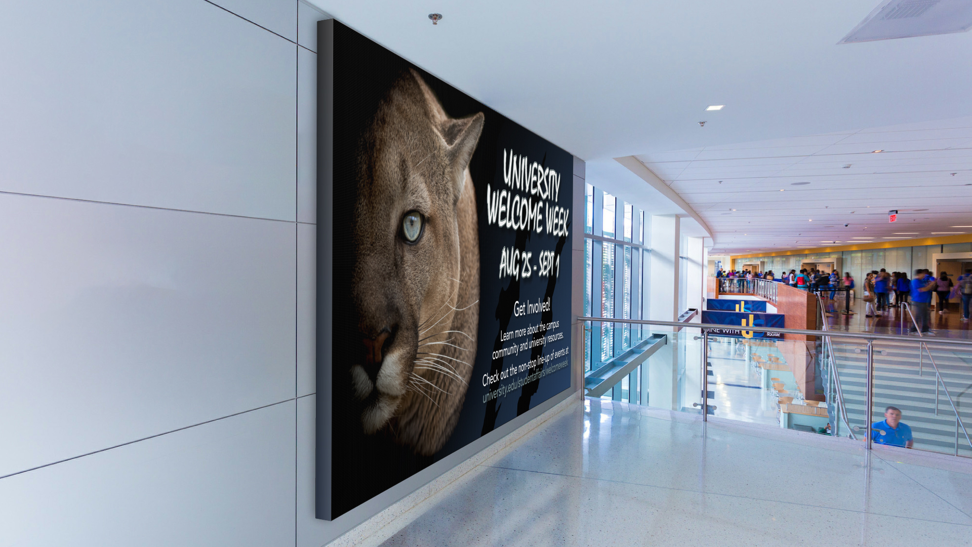 How Digital Signage Elevates & Enhances Education Environments