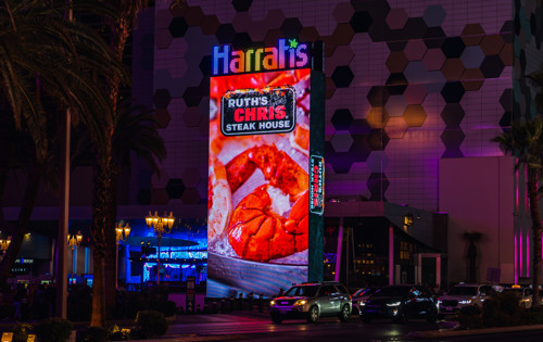 Freeform LED Products