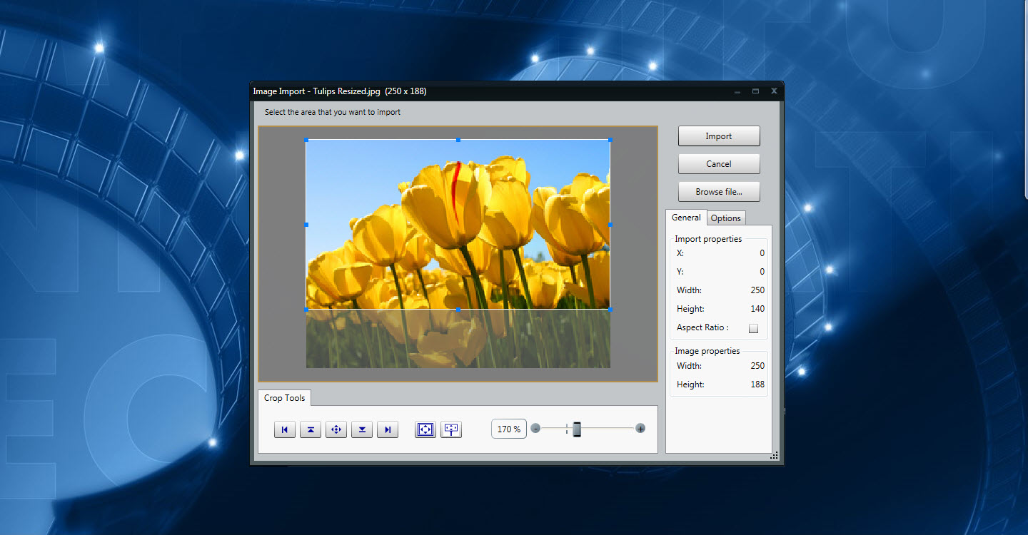 Create Scrolling Images in Content Studio!